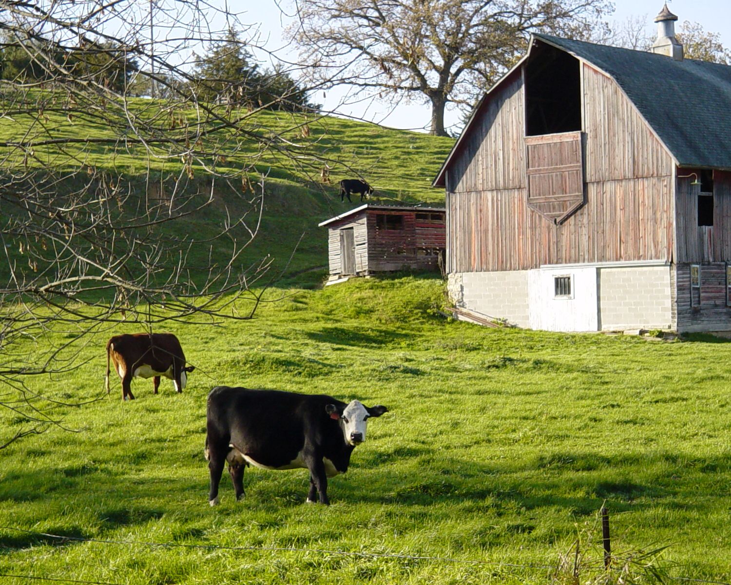Green Meadow Organic Farm | Producer | MyFarms