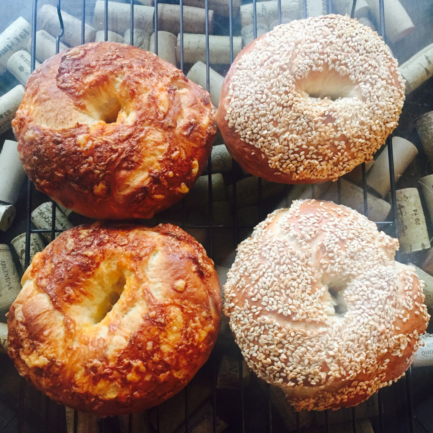 Bagles $7/half dozen | Bread | Artisanal & Homemade | Products | MyFarms